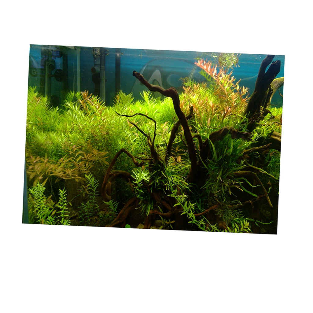 Click here for Siruishop Aquarium Background Fish Tank Backdrop S... prices