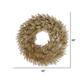 Vickerman 48" Champagne Fir Artificial Christmas Wreath, Unlit ...