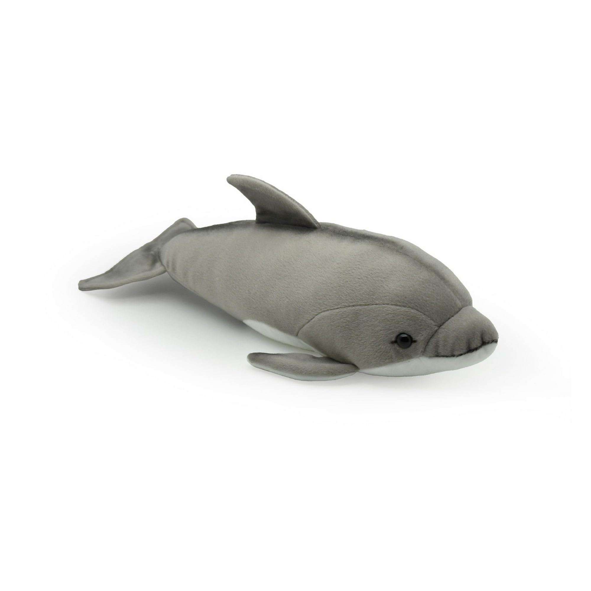 Porpoise Animal