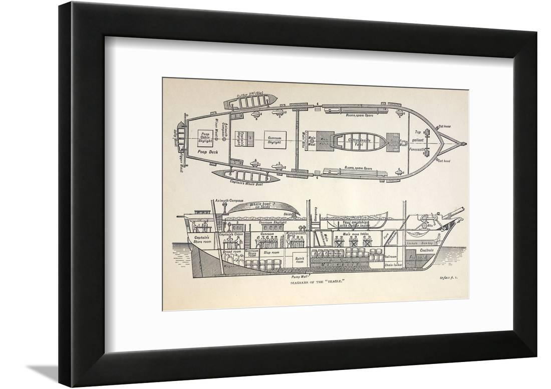 1832 Darwins Ship HMS Beagle Plan Framed Print Wall Art by Paul Stewart ...