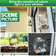 WENMIXER Large Window Bird Feeder with 2 Strong Suction Cups & 2 Non ...
