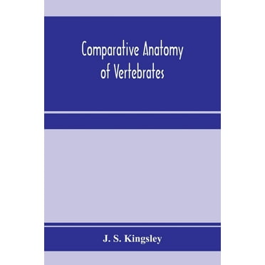 Force Drawing Force: Drawing Human Anatomy, (Paperback) - Walmart.com