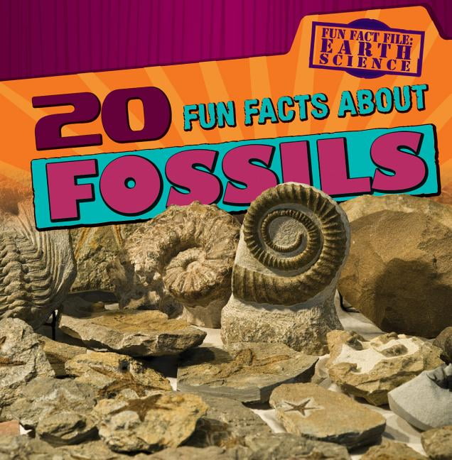 Fun Fact File Earth Science 20 Fun Facts About Fossils Paperback fun-fact-file-earth-science-20-fun-facts-about-fossils-paperback