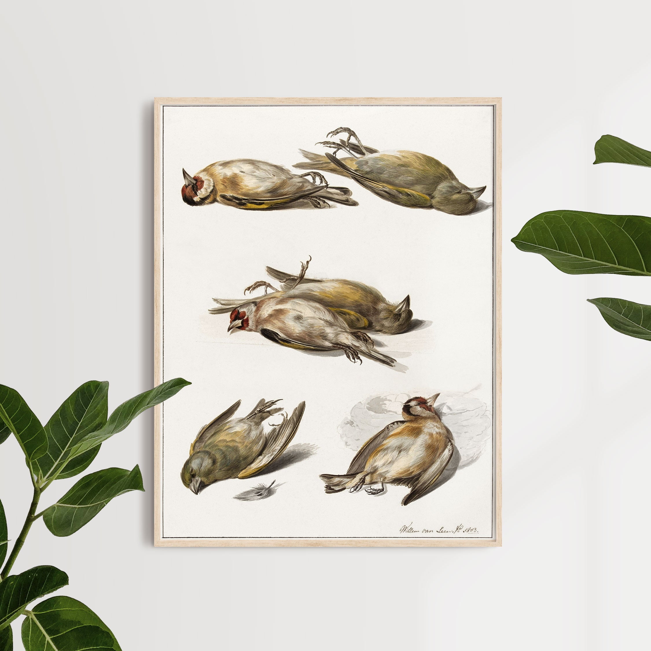 Six Dead Birds - 1803 | Willem van Leen | Premium Fine Art Print | 18th ...
