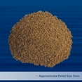 Aqueon Pro Foods Revitanew® Fish Food Formula Small 1.4 oz - Walmart.com