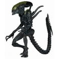 Alien Action Figure Grid Alien Xenomorph Aliens vs Predator 7-Inch ...