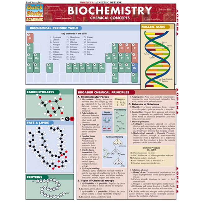 BarCharts- Inc. Biochemistry Guide - Laminated Reference Sheet ...