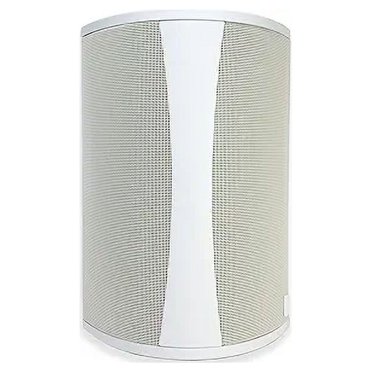 Definitive Technology AW 6500 Outdoor Speaker, Single, Black with BDSS ...