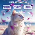 Beloved Pets Cat Calming Diffuser Feline Calm Pheromones Plug-in Stress ...