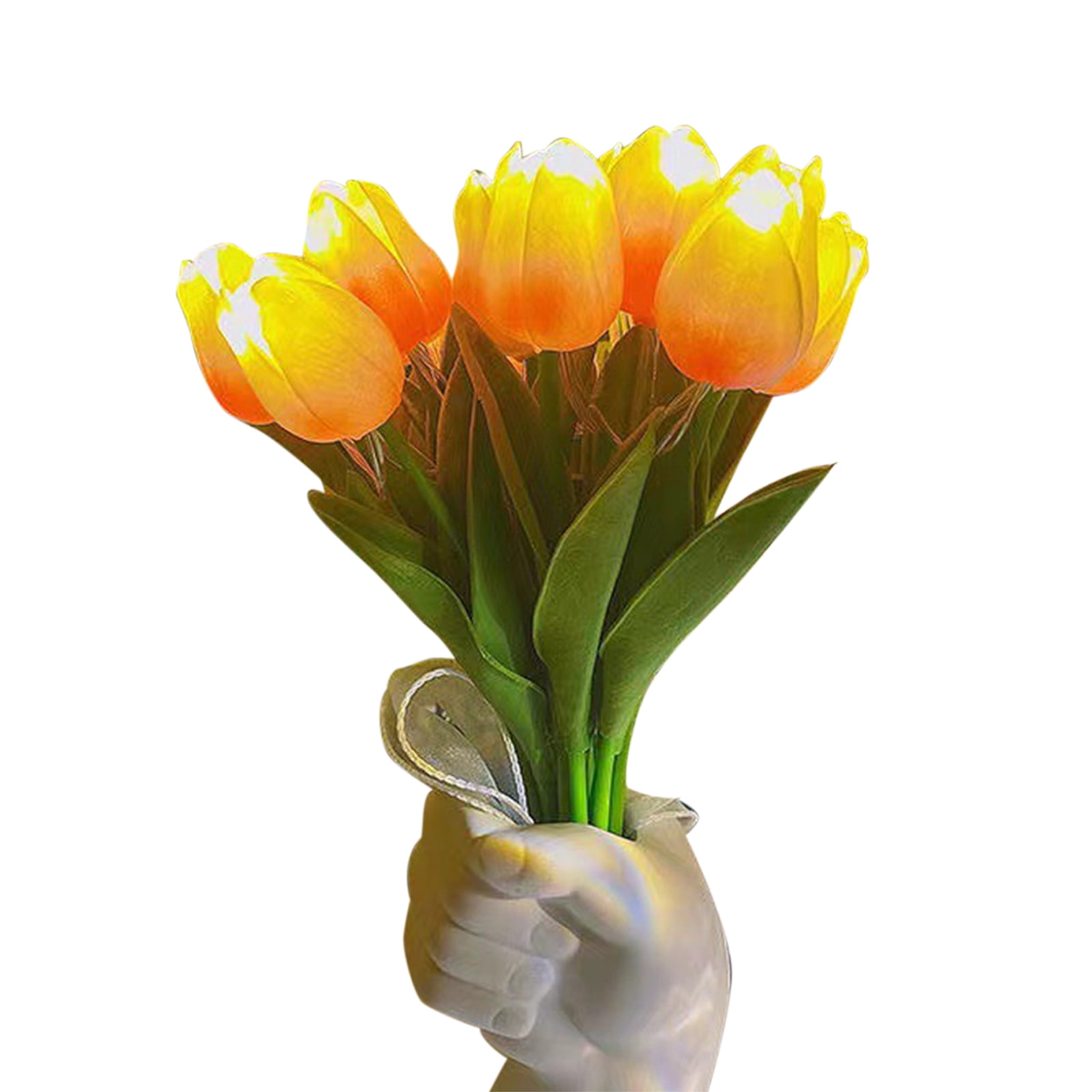 Click here for Dewin (Trouble Packing To Minimize The Shipping Si... prices