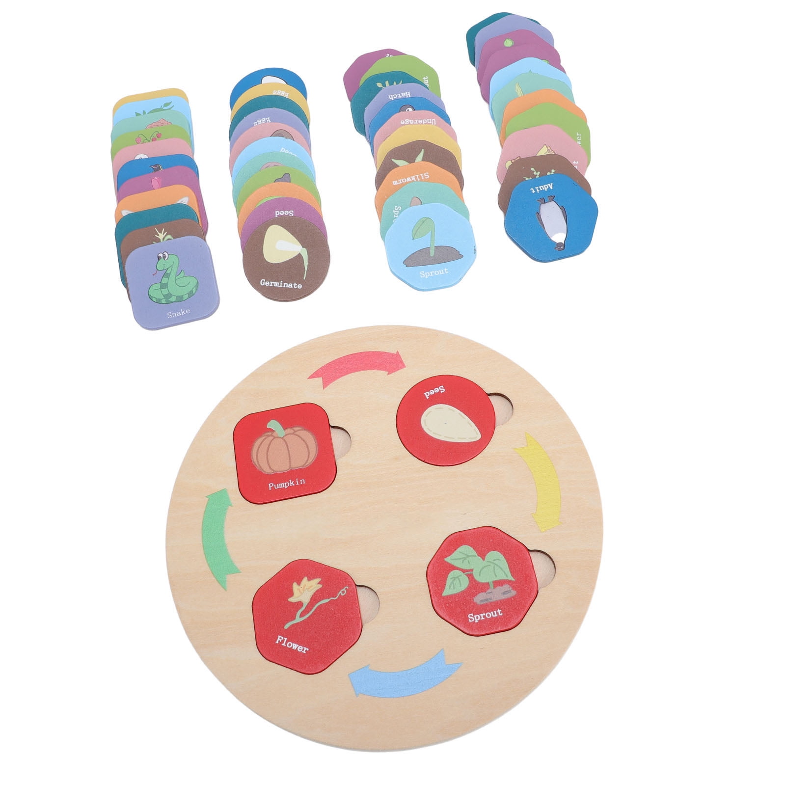 Click here for Domqga Life Cycle Toys For Kids  Animal Game 4 Sha... prices