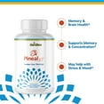 Pineal XT- Nerve & Brain Support- 12 Bottles- 720 Capsules - Walmart.com