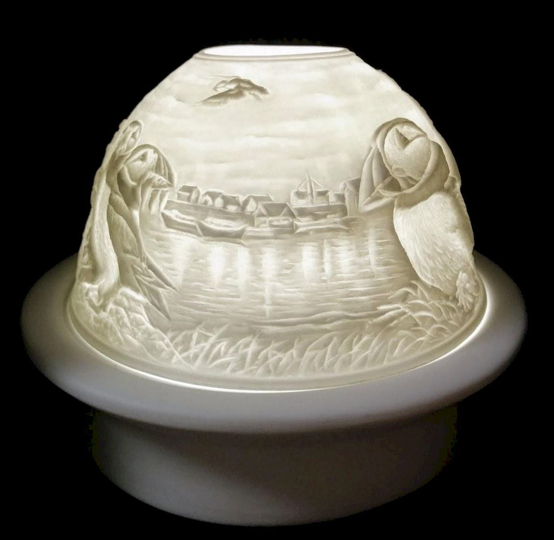 Newfoundland Light - Walmart.com