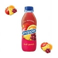 Snapple Apple Flavored Fruit Punch Juice, Case of 24 Packs, 16 Fl. Oz ...