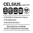 CELSIUS Sparkling Playa Vibe, Functional Energy Drink 12 fl oz Single ...