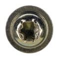 Saber Drive #9 x 2-1/2" Cabinet Screws, 5 Lb Tub, Approx. 455 Pieces ...