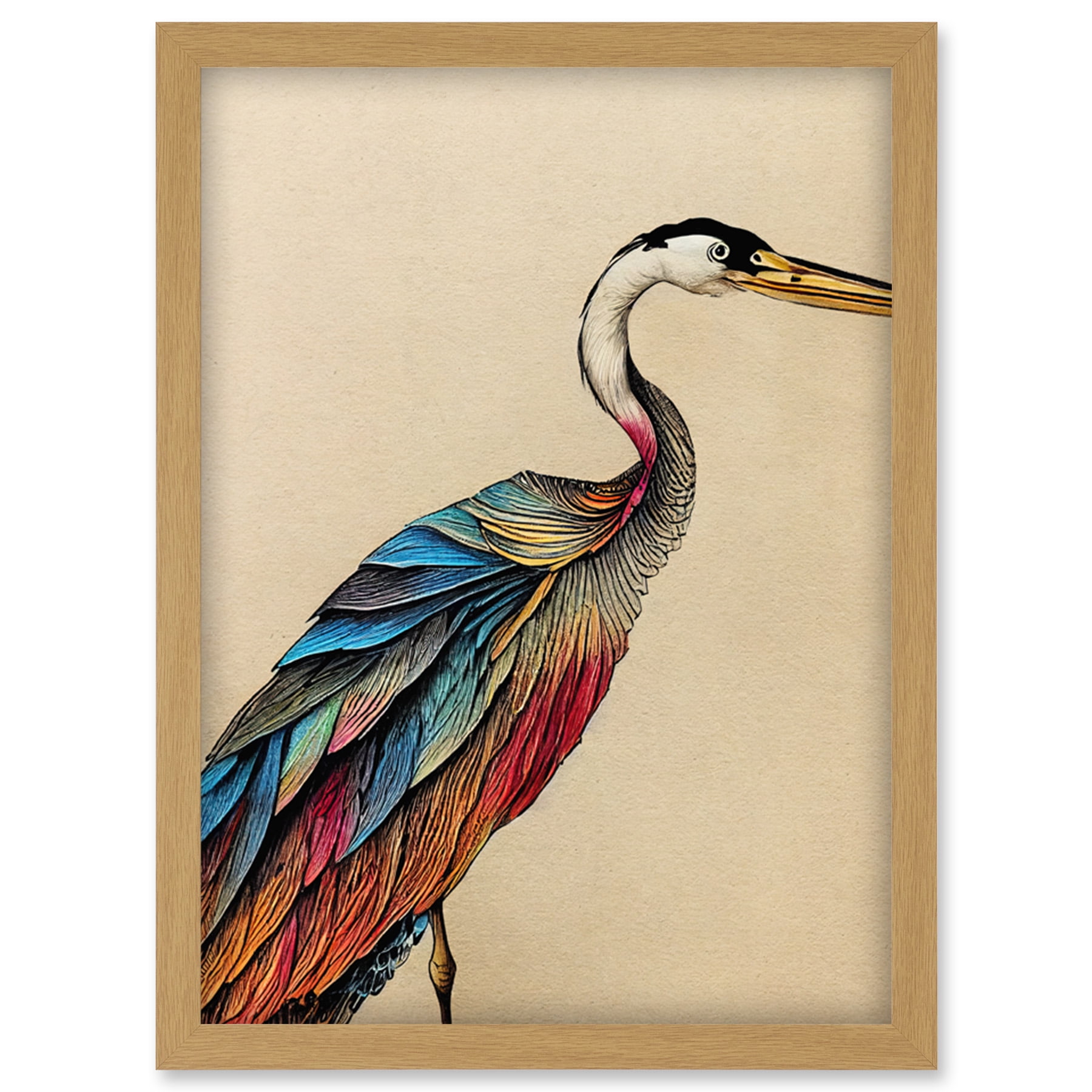 Rainbow Heron Bird Detailed Plumage Feathers Illustration Artwork ...