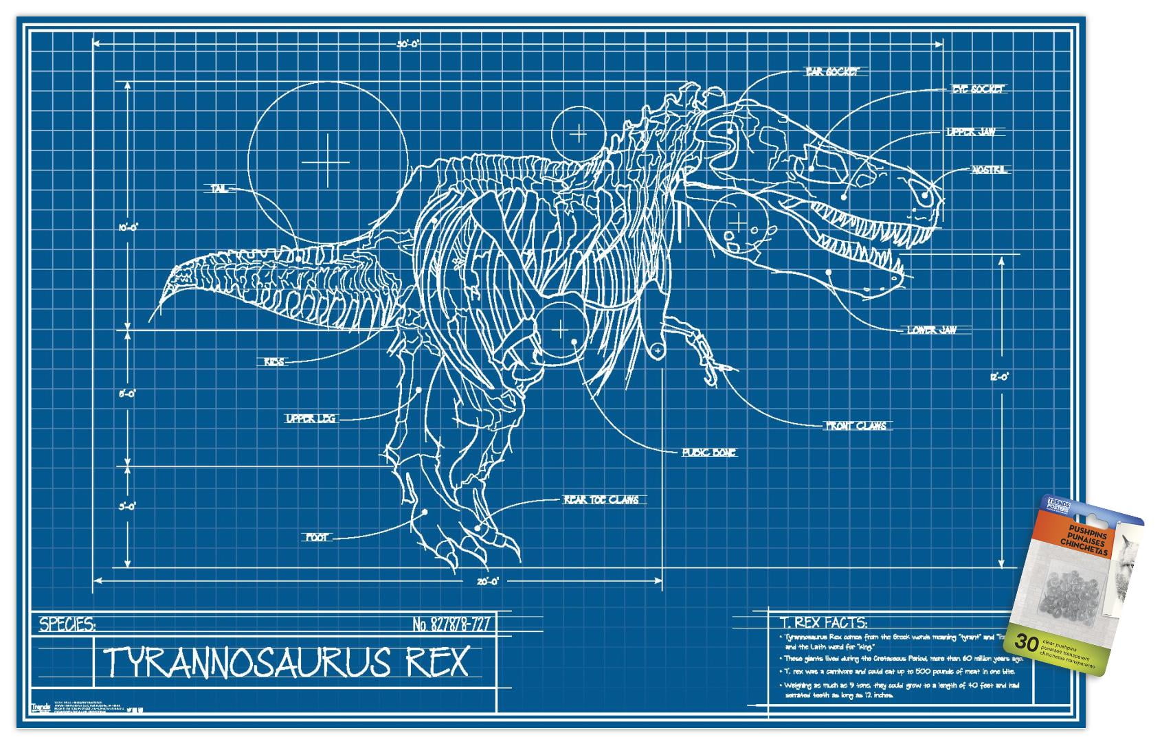 T-Rex - Blueprint Illustration Wall Poster with Push Pins, 22.375" x 34 ...