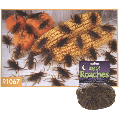 Fun World Bag of Roaches - Walmart.com
