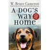 A Dog's Way Home - Walmart.com