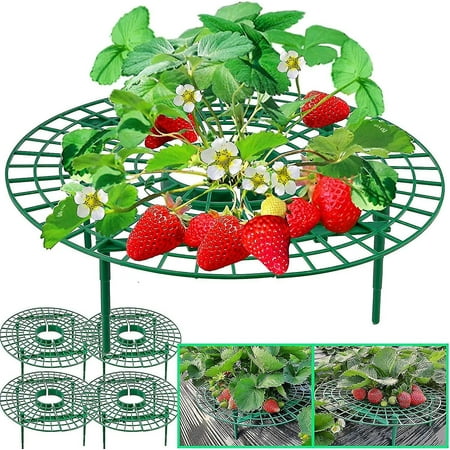 5 Pack Strawberry Supports - Strawberry Plant Support Strawberry ...