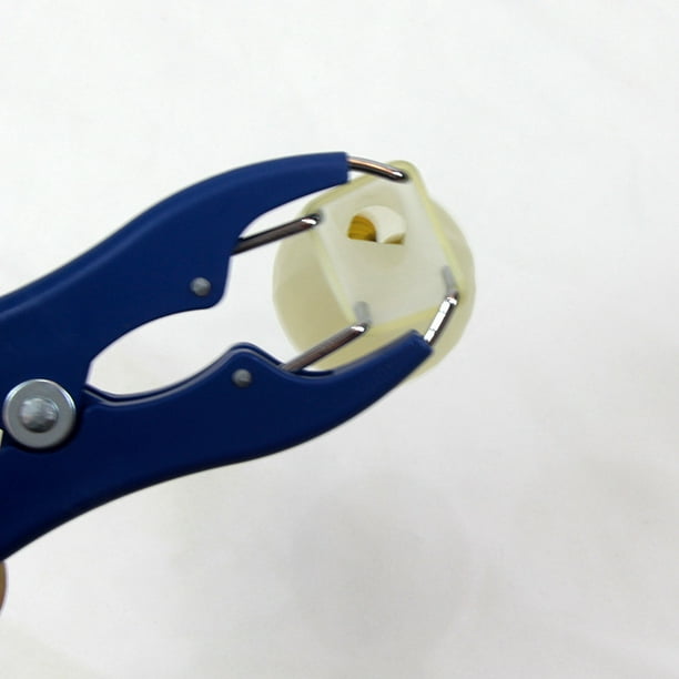 Animal Castration Clamp Tail Cutter Castration Banding Pig Cattle Sheep Goat Castration Device ...