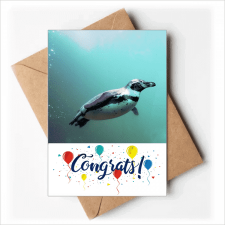 Sea Antarctic Penguin Creature Science Nature Wedding Cards ...