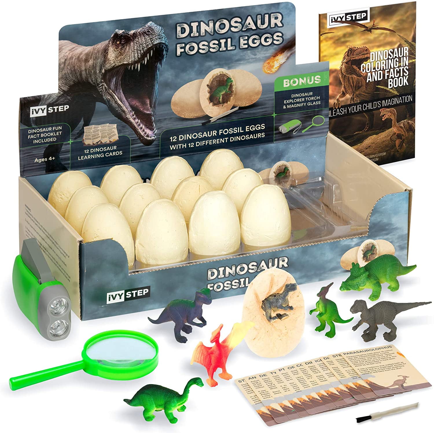 Ivy Step Dinosaur Digging Fossil Kit with 12 Dinosaur Eggs, Chisel ...