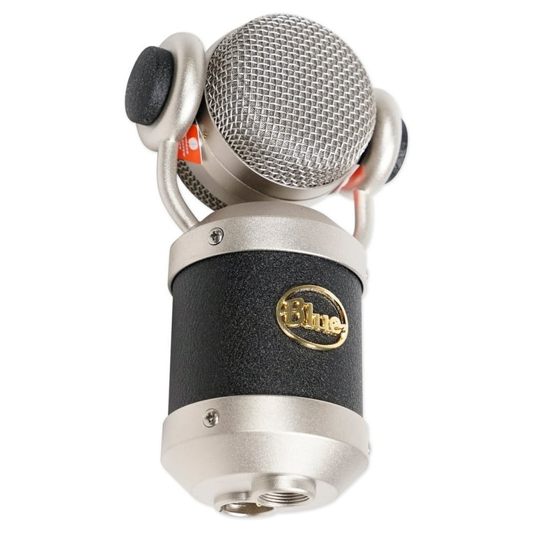 Blue Mouse Mic