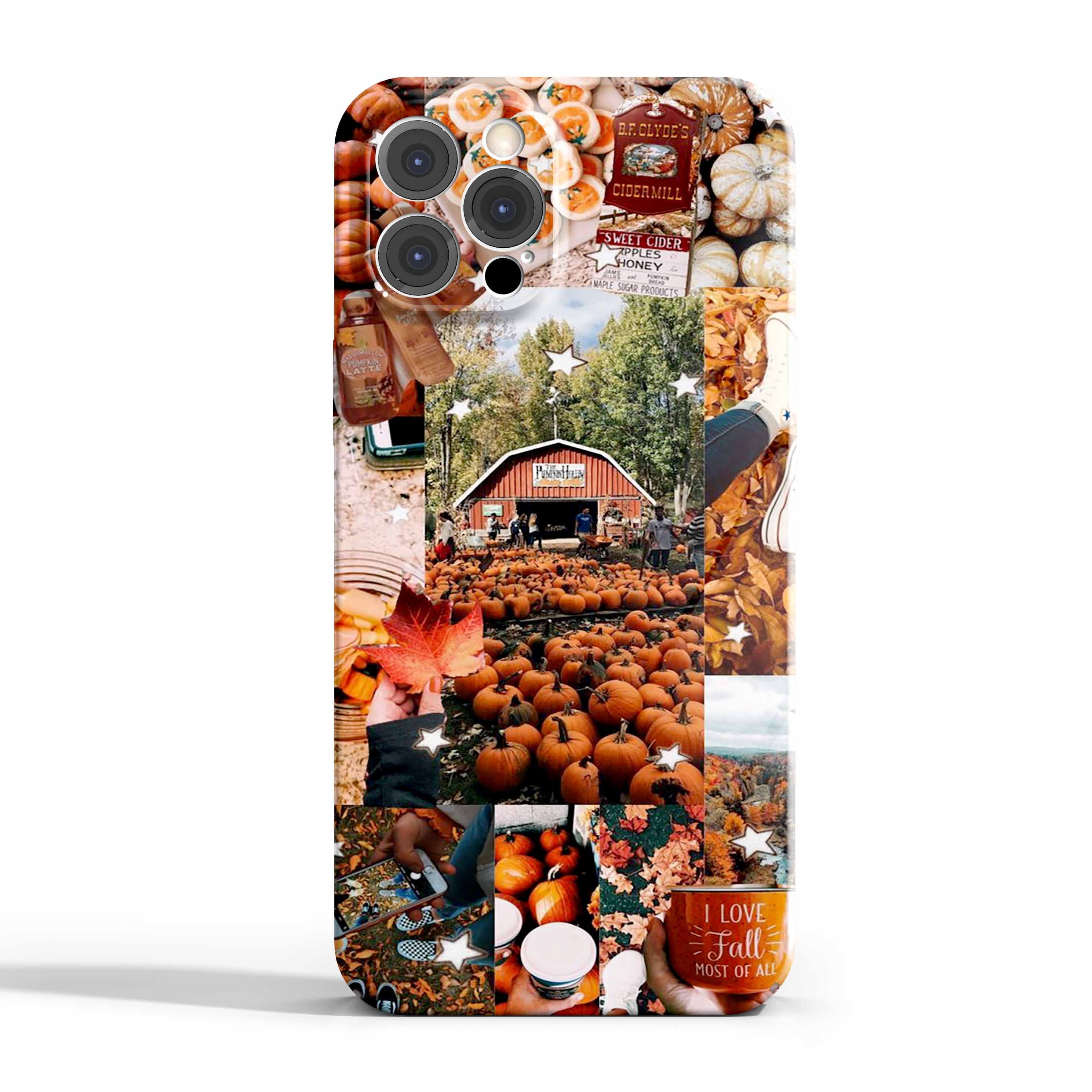 Amazing Fall Autumn Aesthetic Case for iPhone 14 Pro,Aesthetic Art ...