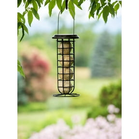Pennington Seed Wild Bird Ration, 20lb - Walmart.com