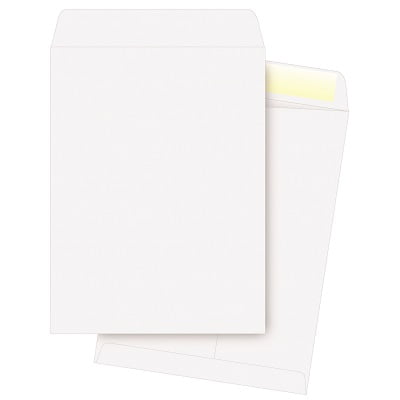 Envelope-Catalogue 6.5X9.5 White, 500/Box | Walmart Canada