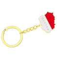 Stylish Keychain Featuring Poland Map Sturdy Steel Poland Flag Keyrings ...