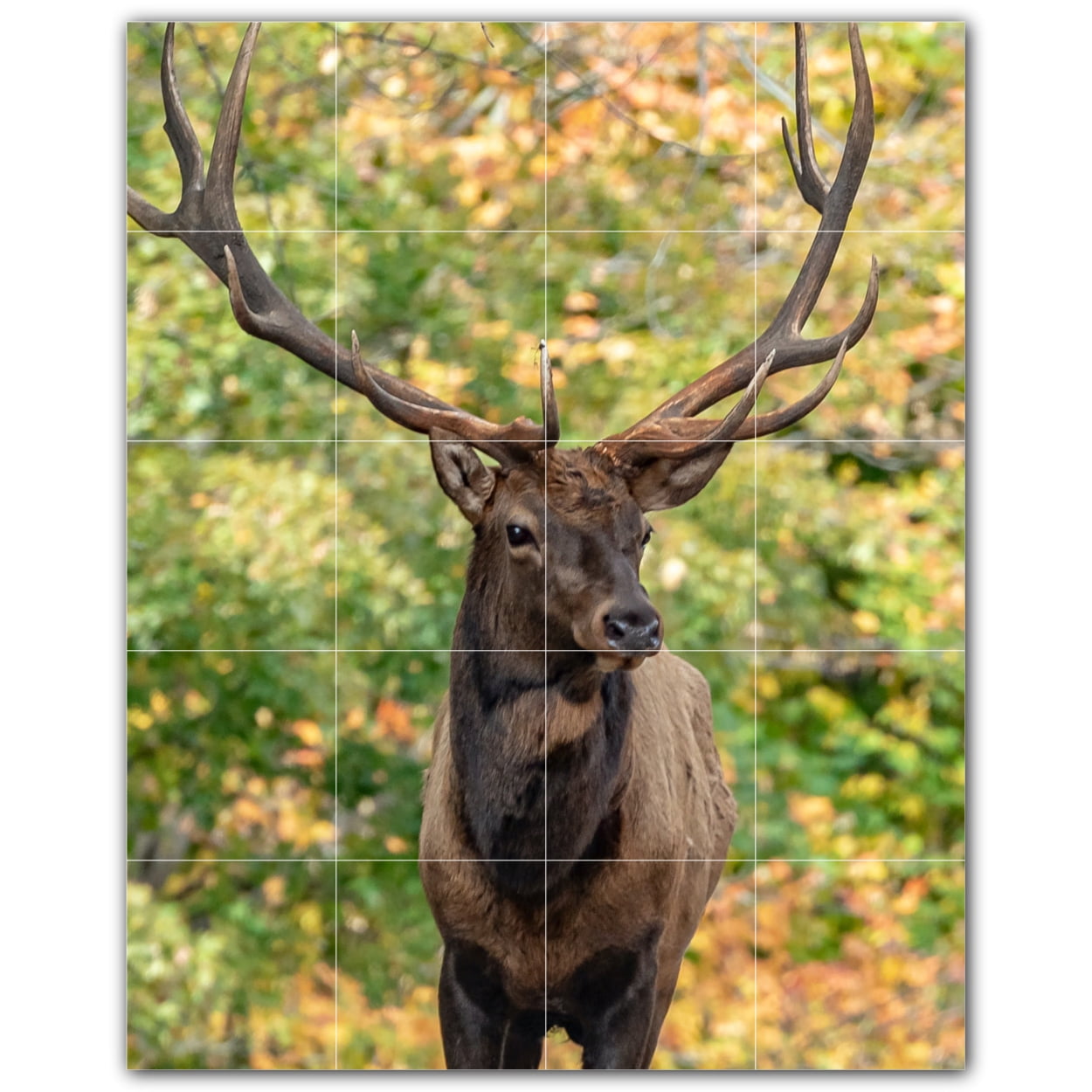 Picture-Tiles.com: Deer Ceramic Tile Wall Mural WAL500457-45M. 24"W x ...