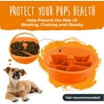 Mighty Paw Slow Feed Dog Bowl Insert | Food Eating Puzzle Maze Feeder ...