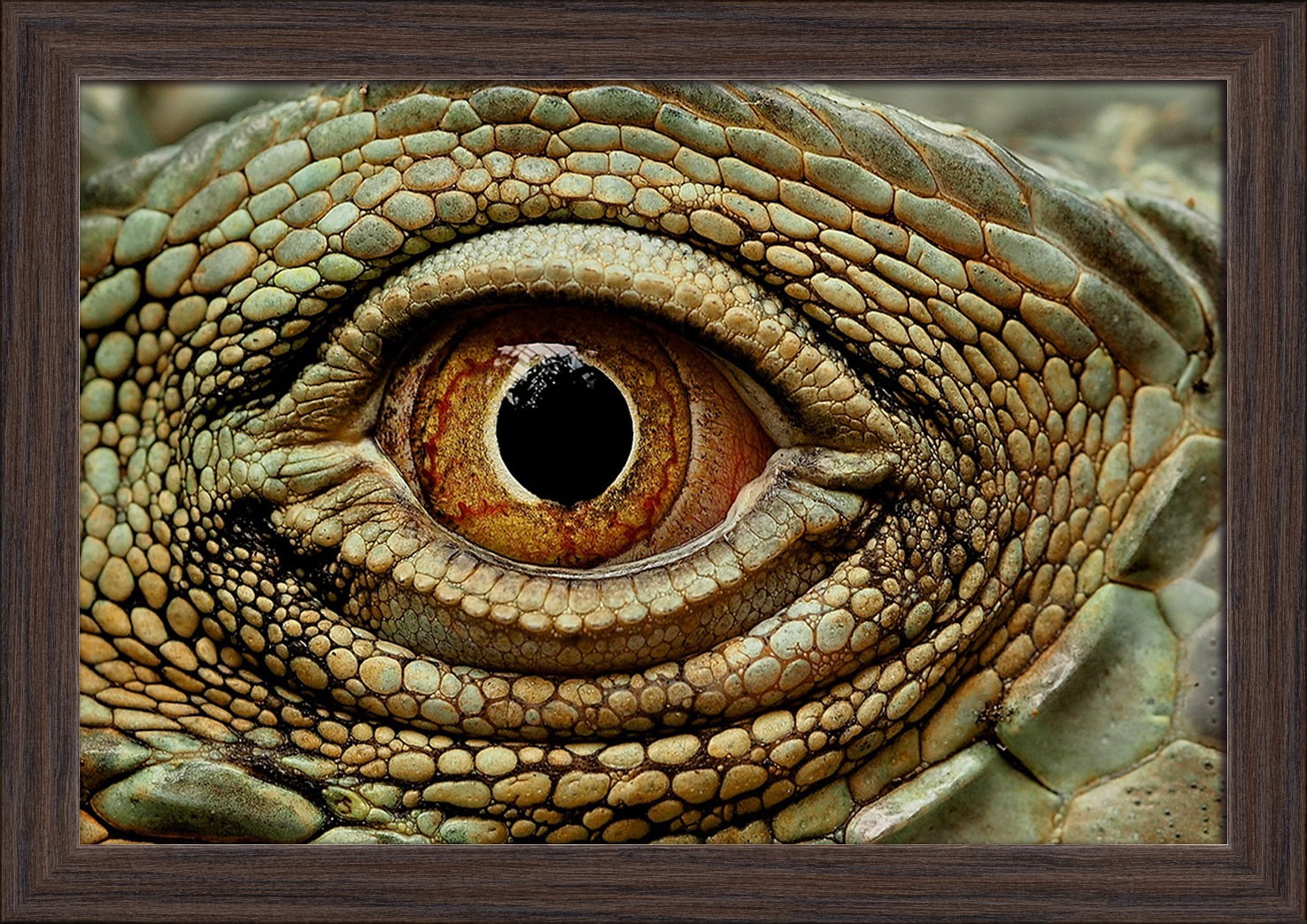 Iguana Eye Painting