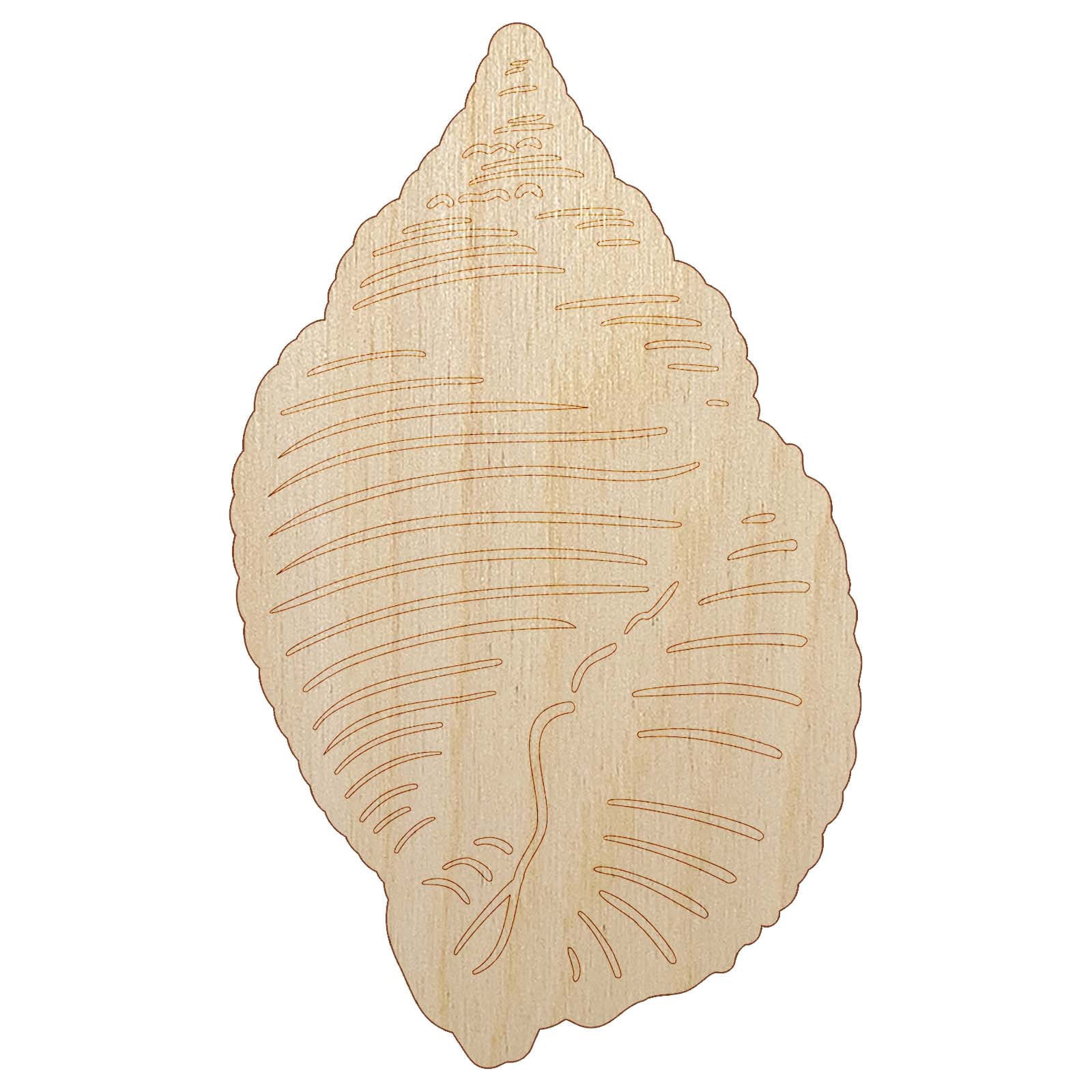 Nutmeg Shell Seashell Beach Wood Shape Unfinished Piece Cutout Craft ...