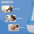 HealthWise Cool Mist Ultrasonic Humidifier | For Medium Size Rooms | No ...