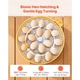 18 Egg Incubator, Automatic Egg Turner with LED Candler, Temperature ...
