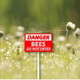 Eveokoki 12 x 8 inch “Danger Bees - Do Not Enter” Lawn Yard Sign with ...