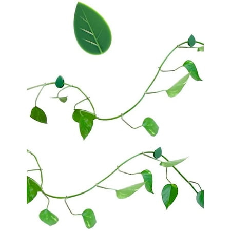 Plant Clips With Pre-applied Adhesive Pads For Climbing And Hanging ...