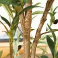 DLD 5ft Artificial Olive Plants with Realistic Leaves and Natural Trunk ...