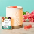 Paradise Shores Scented Wax Melts, Better Homes & Gardens, 2.5 oz (5-Pack) - Walmart.com