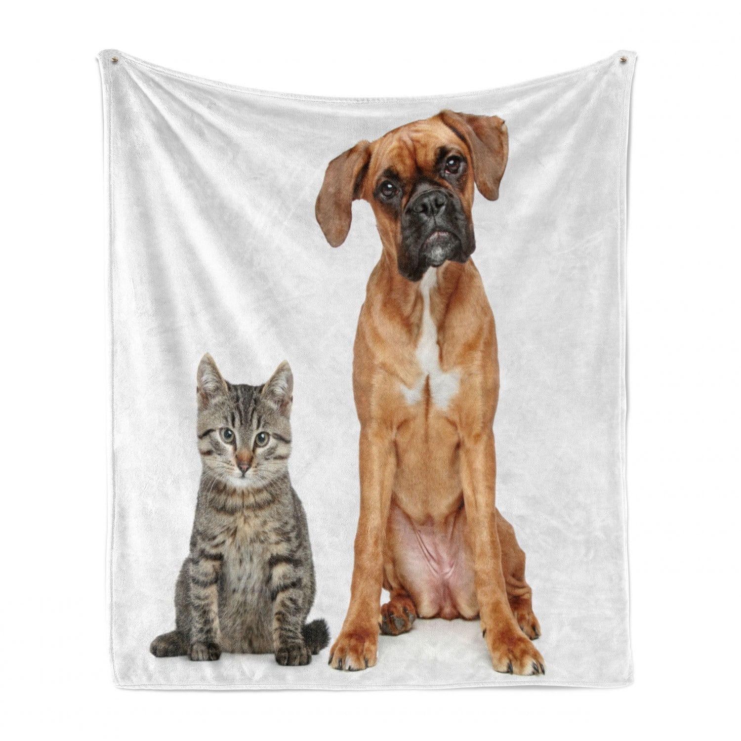 Do Boxers Get Along With Cats