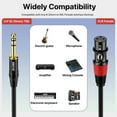 EBXYA Female XLR to 1/4 Inch Cable 1m 2-Pack, Balanced Audio, Gold ...