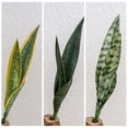 1Pc Artificial Tiger- Piran Faux- Snake Plant Real- Touch Tiger- Piran ...