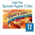 Alpine Cider, Sugar Free Spiced Apple Cider, 10 Pouches, 1 Ct - Walmart.com
