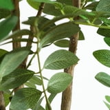 6 ft Tall Large Indoor Faux Moringa Oleifera Tree in Pot, Artificial ...