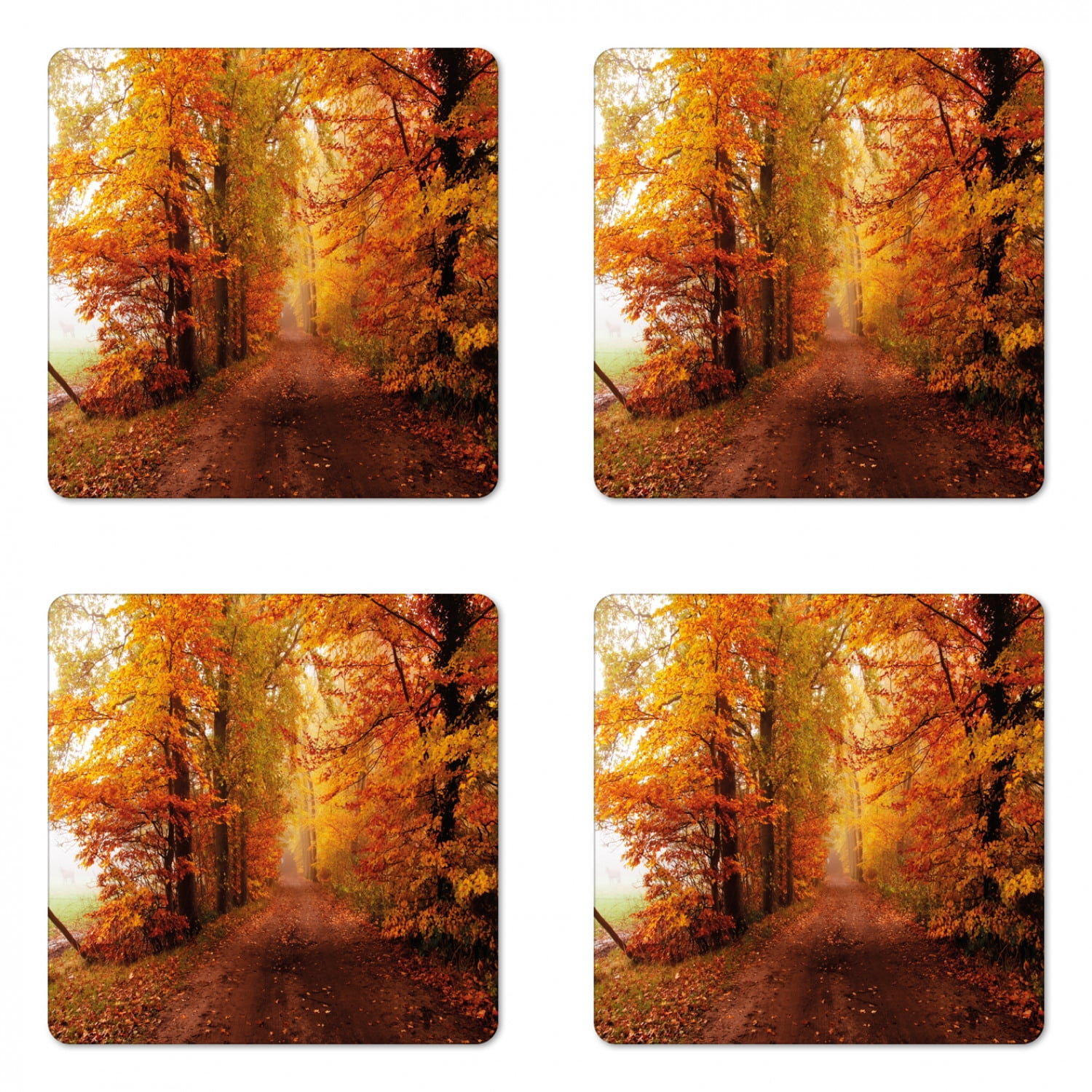 Fall Coaster Set of 4, Footpath in Foggy Woods Peaceful September ...