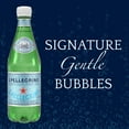 S.Pellegrino Sparkling Natural Unflavored Mineral Water, 202.8 fl oz, 12 Pack Bottles - Walmart.com